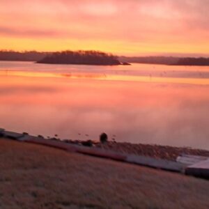 Advanced Search - SSCIT | Find a Therapist